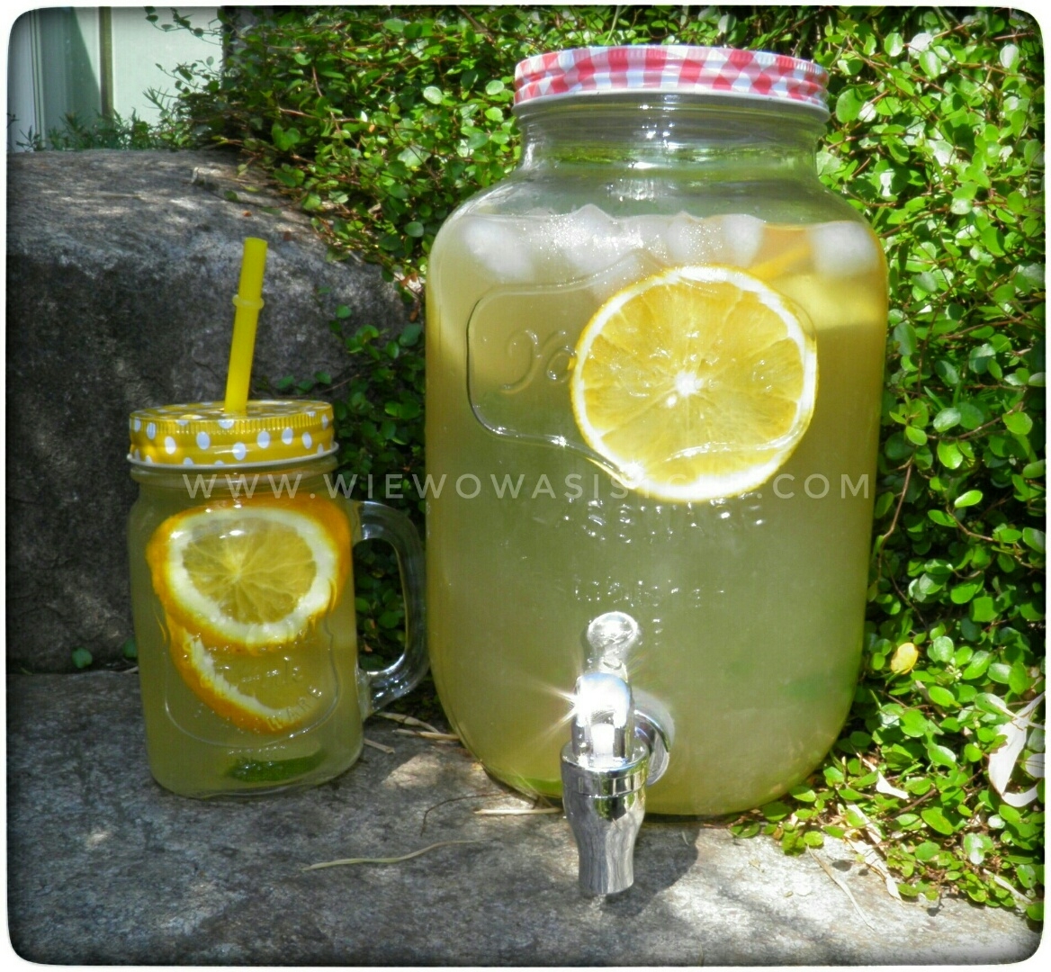 Zitronenlimonade...frisch, lecker und gerne zuckerfrei - Wiewowasistgut