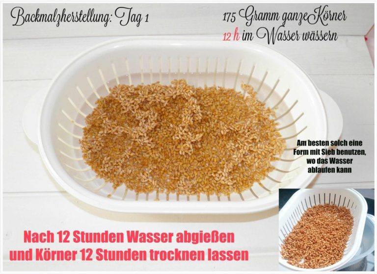 Selbstgemachtes Backmalz: So einfach & so gut ! - Wiewowasistgut